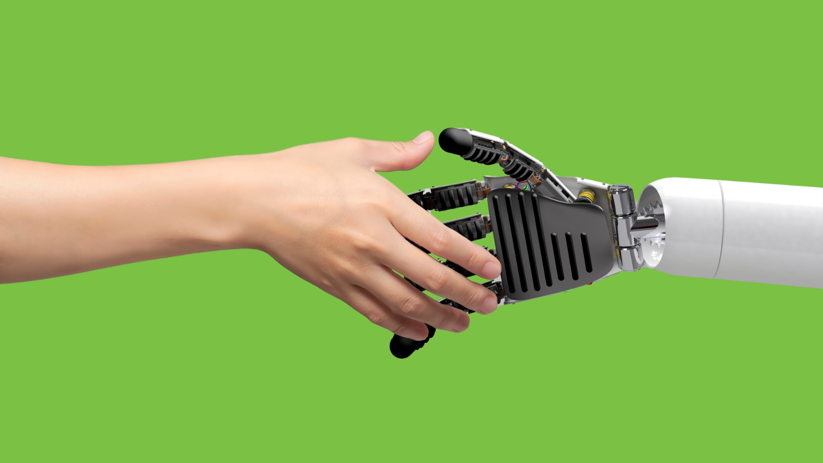 How to Set Up and Optimize AI Webchat For Your Business